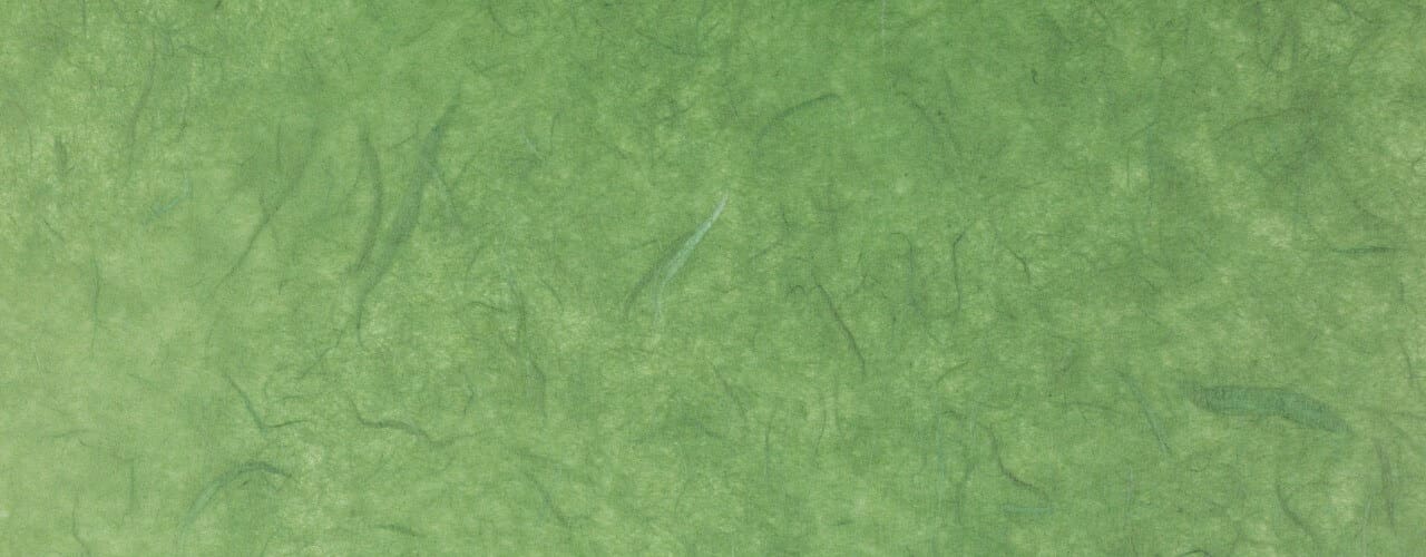 Top 3 Eco-Friendly Print Finishes - Metallic Elephant